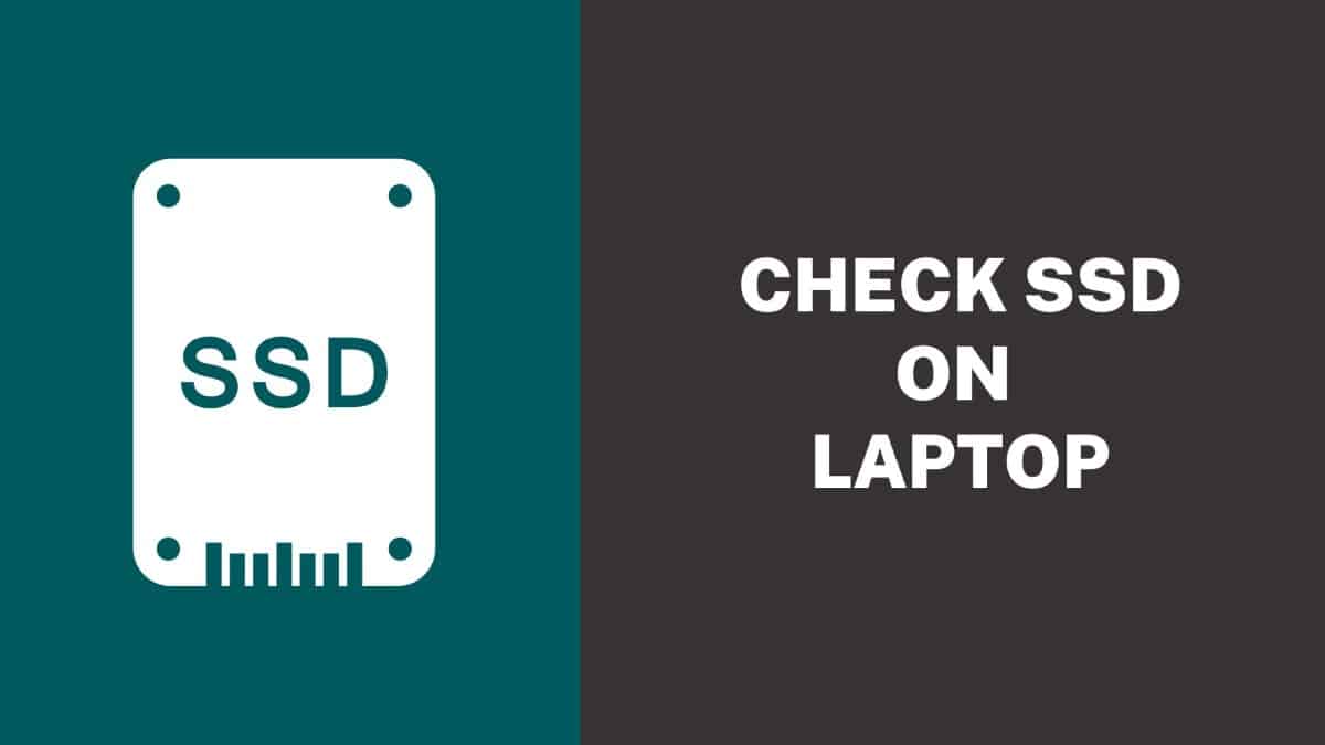 How To Check SSD On Laptop Ways To Check SSD Storage TechRounder How To Check SSD On Laptop Ways To Check SSD Storage TechRounder